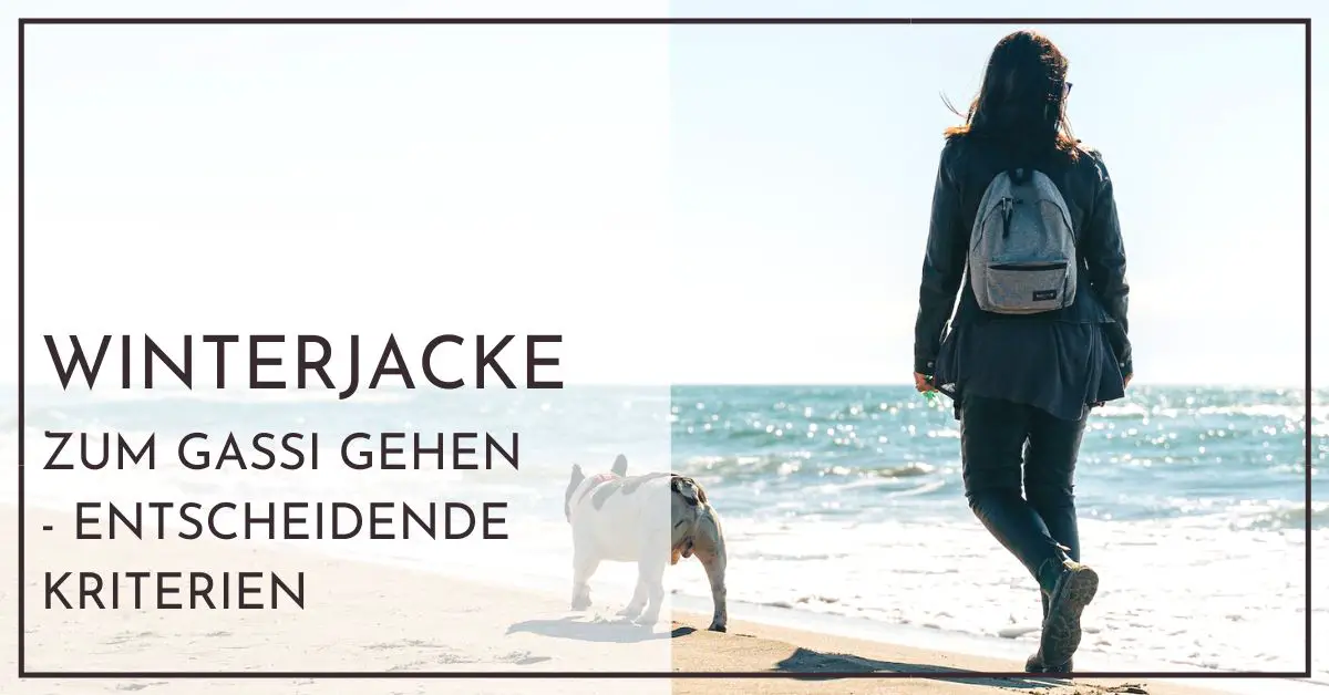 Welche Winterjacke zum Gassi gehen? - 6 entscheidende Kriterien